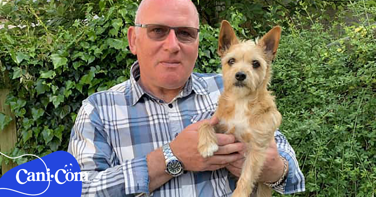 Scava una buca e salva il proprietario colpito da un albero: Buddy cane ...