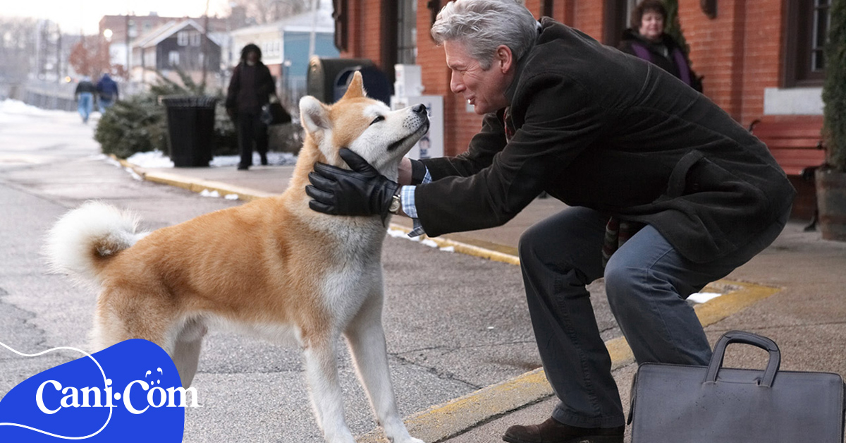 Festa a Tokyo per Hachiko: centenario per il cane simbolo di fedeltà